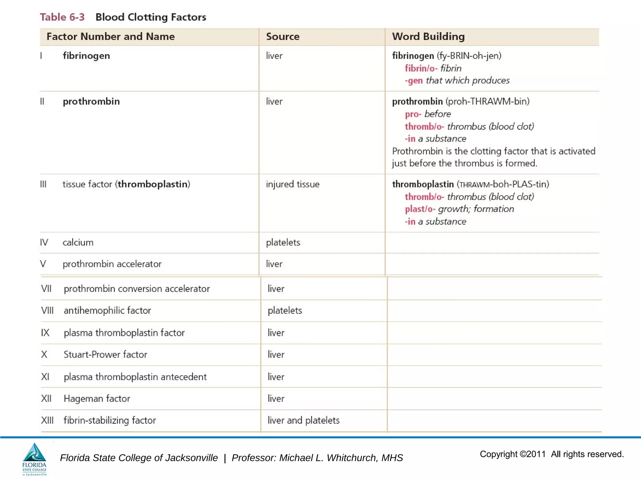 Blood and Immune System | PPT
