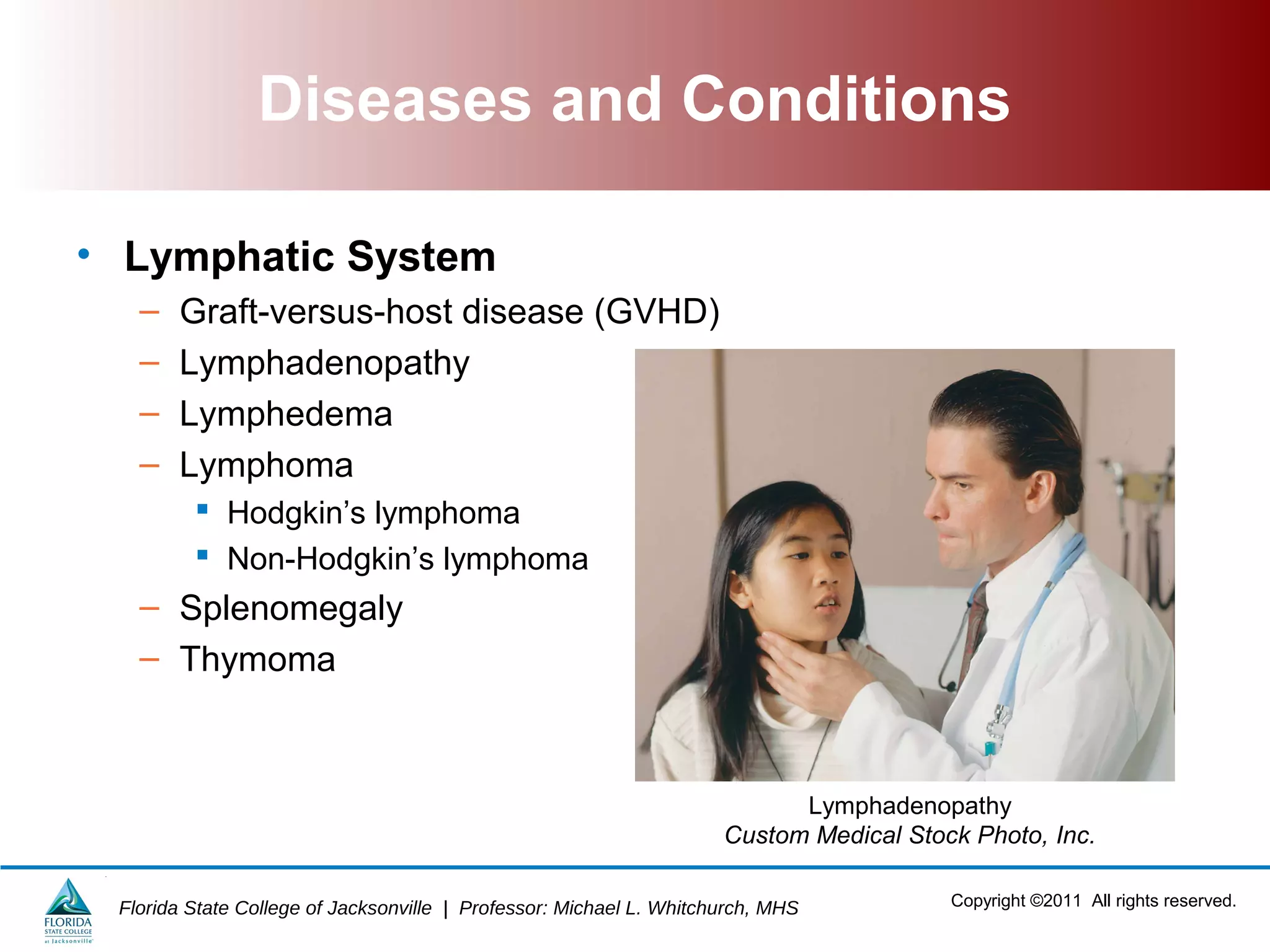 Blood and Immune System | PPT | Blood Disorders | Diseases and Conditions