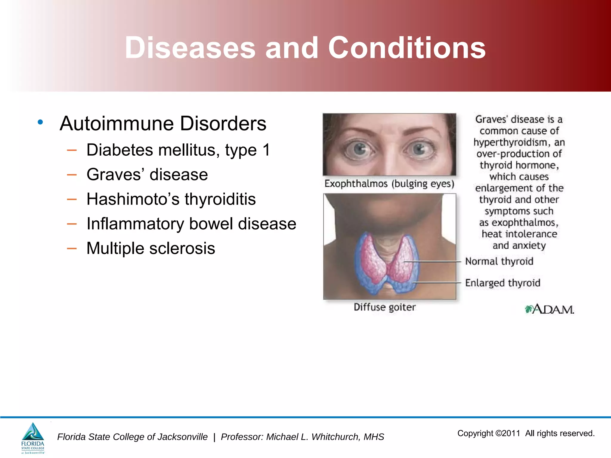 Blood and Immune System | PPT
