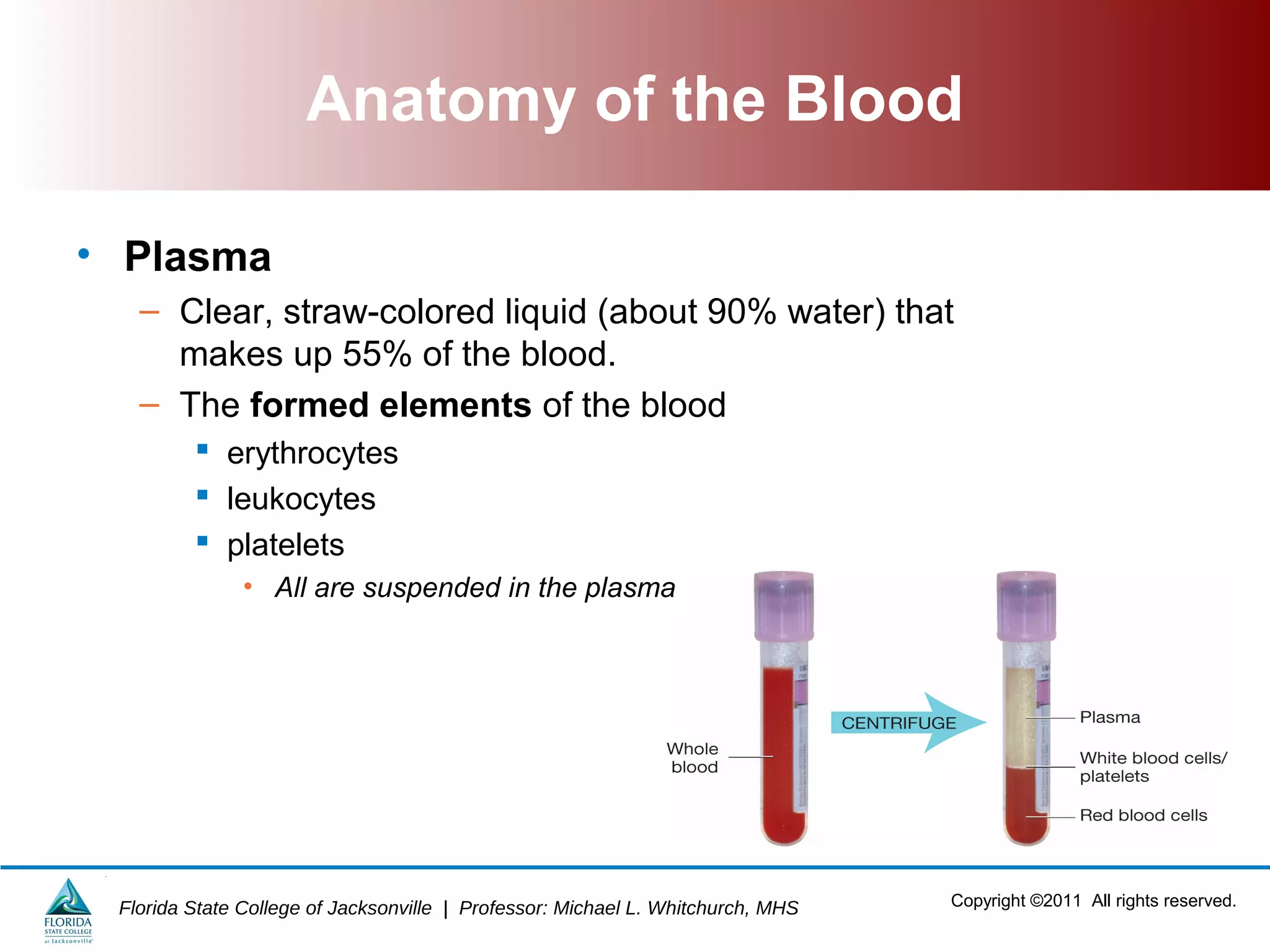 Blood and Immune System | PPT
