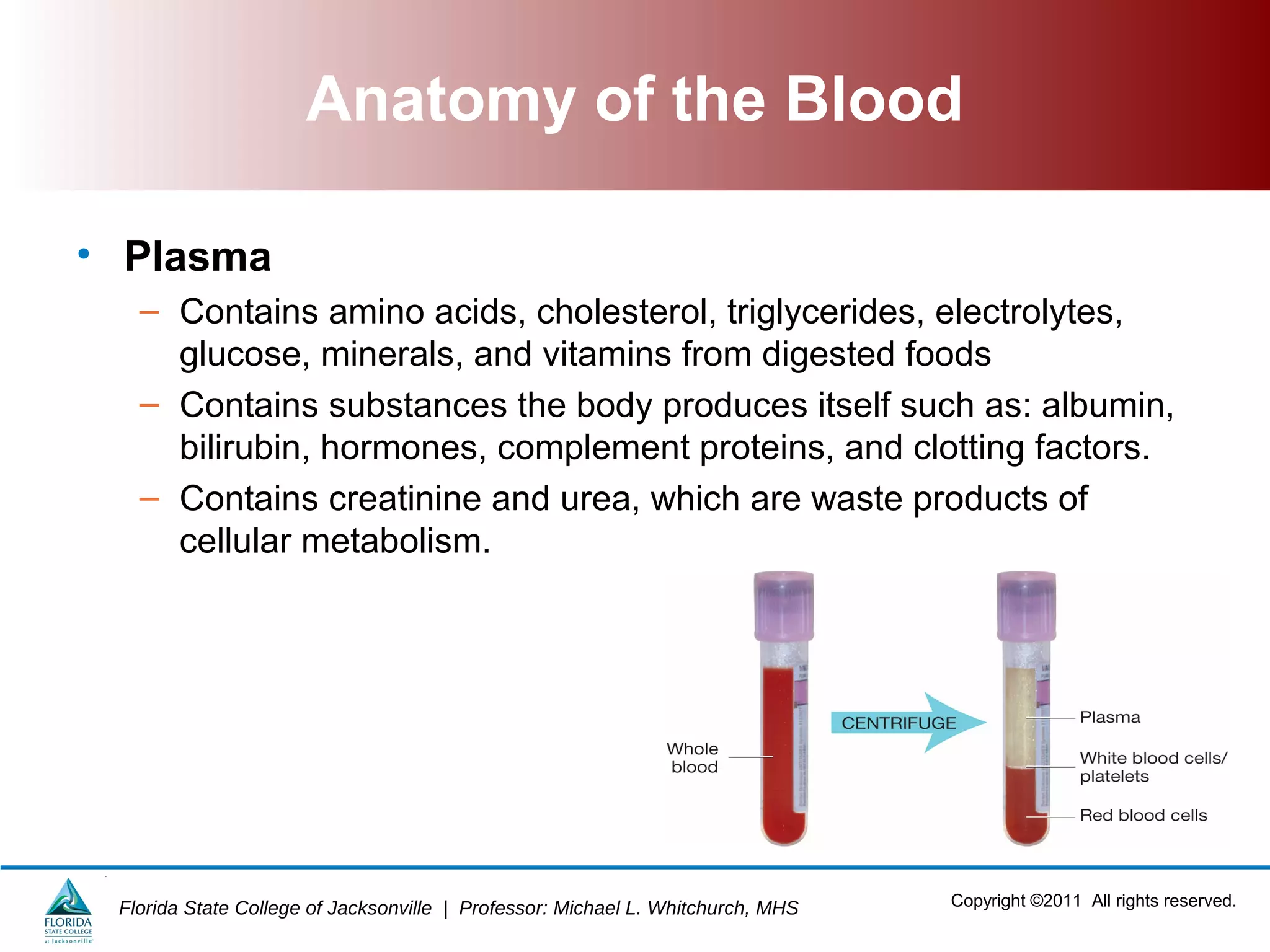 Blood and Immune System | PPT