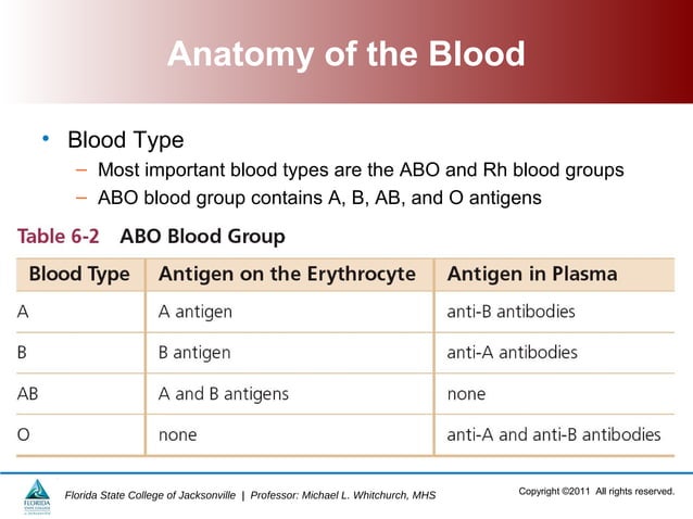 Blood and Immune System | PPT | Blood Disorders | Diseases and Conditions