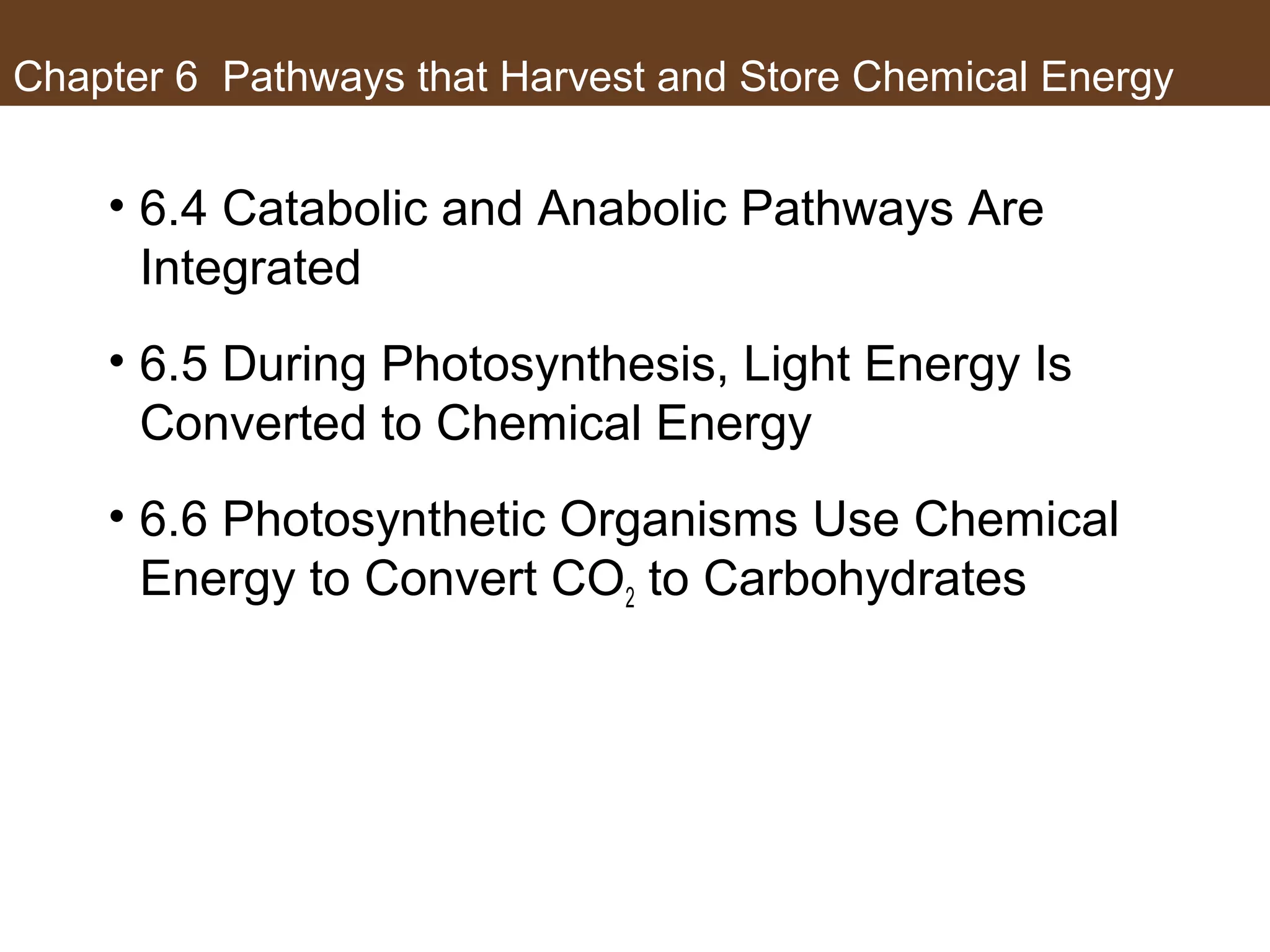 Ch06 lecture pathways that harvest and store chemical energy | PPT