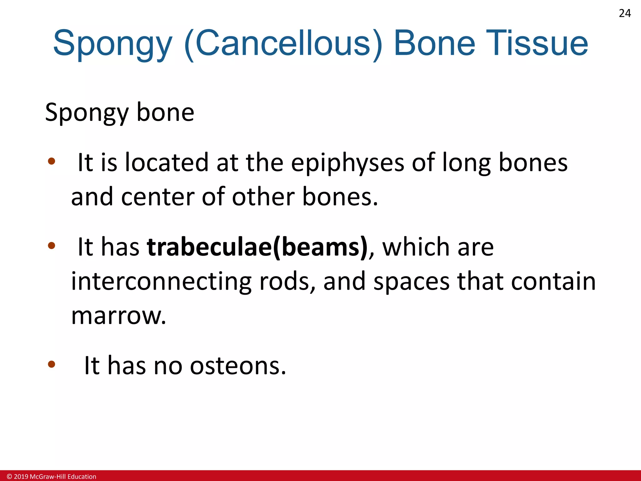 Ch06 lecture ppt_a | PPTX