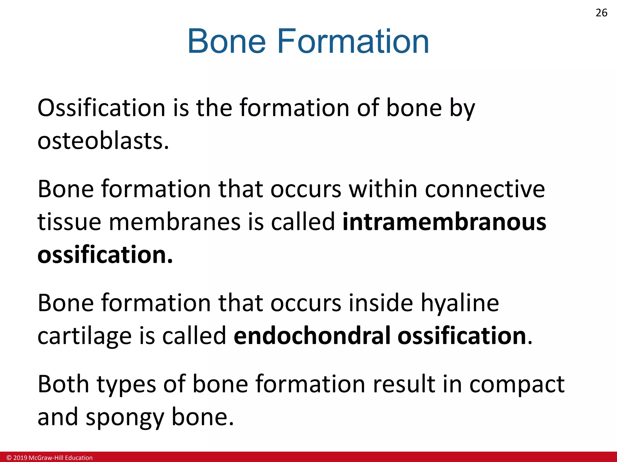 Ch06 lecture ppt_a | PPTX | Death, Injury, or Military Conflict ...