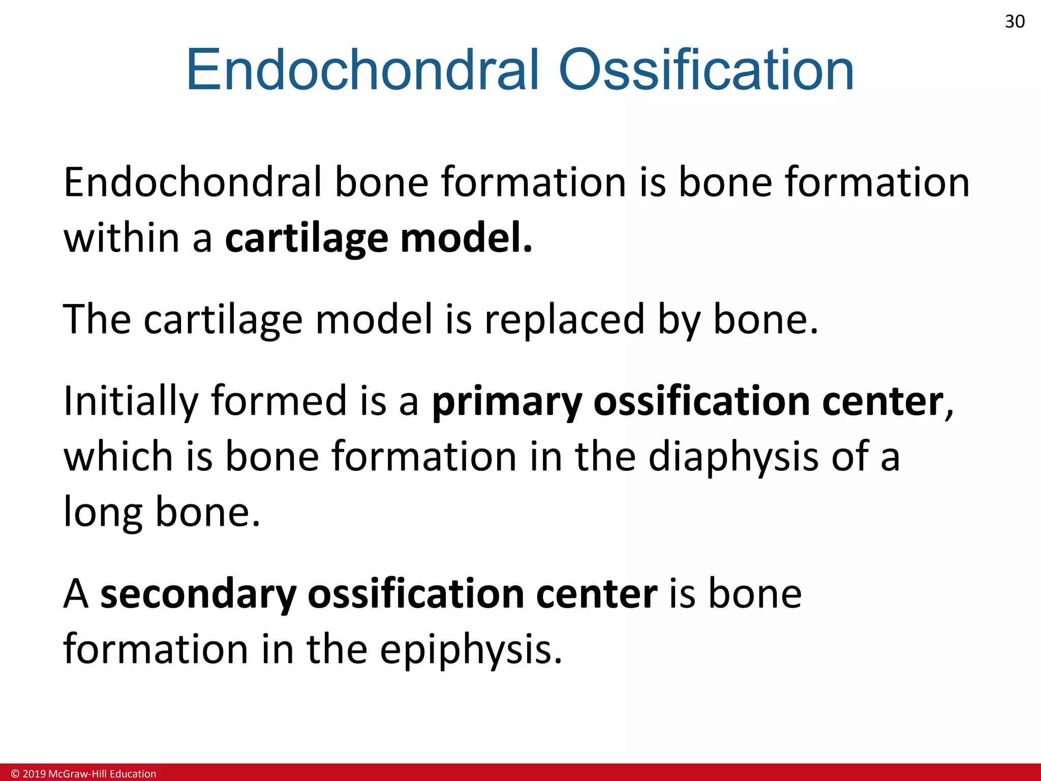 Ch06 lecture ppt_a | PPTX | Death, Injury, or Military Conflict ...