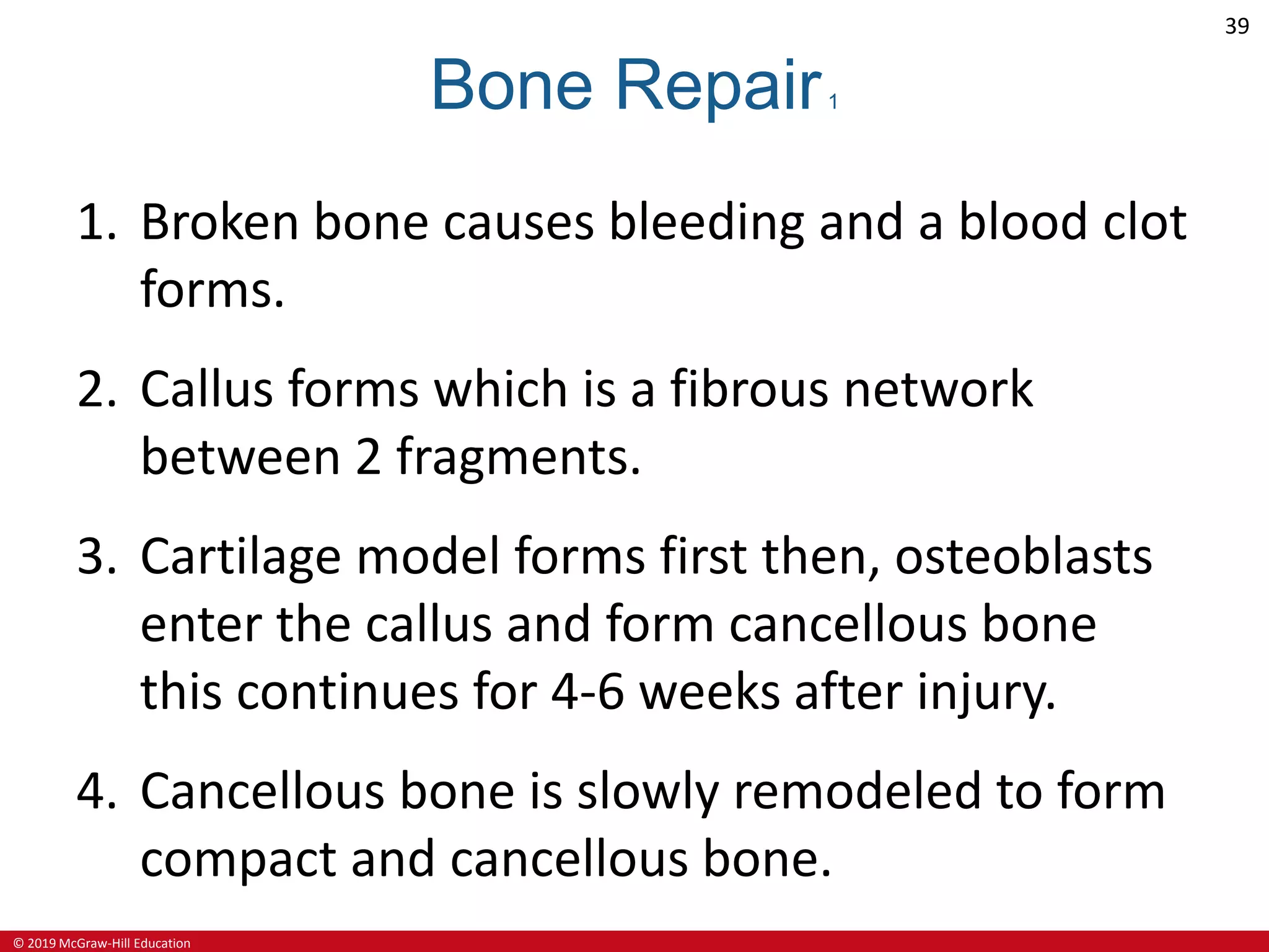 Ch06 lecture ppt_a | PPTX