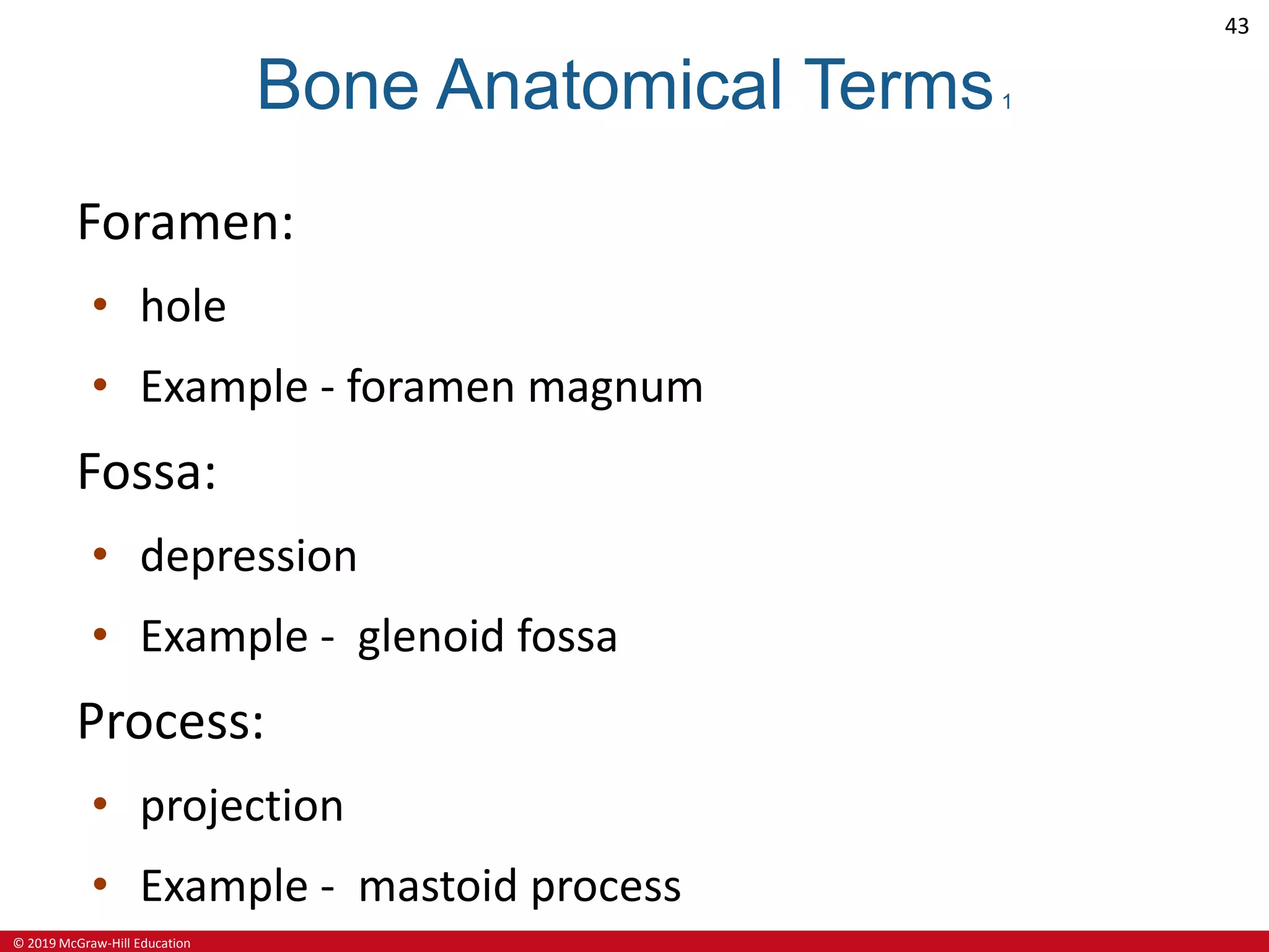 Ch06 lecture ppt_a | PPTX | Death, Injury, or Military Conflict ...