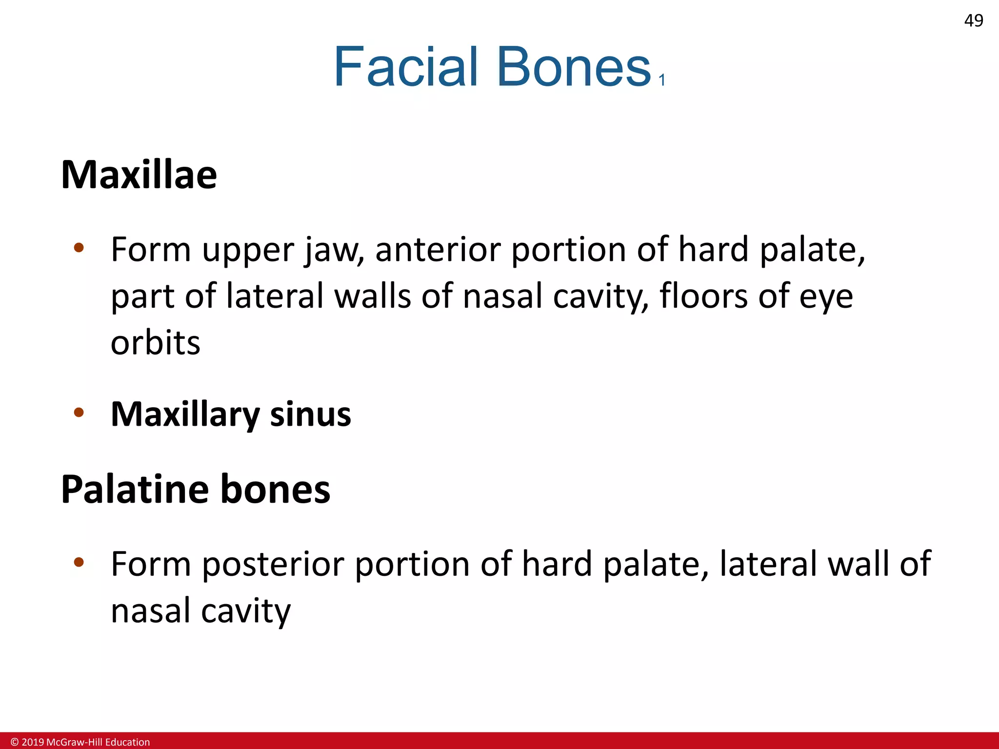 Ch06 lecture ppt_a | PPTX