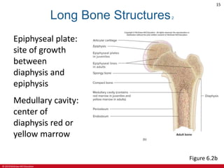 Ch06 lecture ppt_a | PPTX