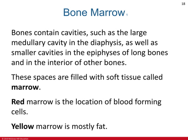 Ch06 lecture ppt_a | PPTX | Death, Injury, or Military Conflict ...