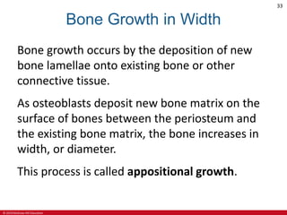 Ch06 lecture ppt_a | PPTX