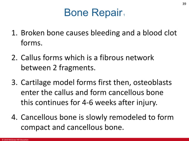 Ch06 lecture ppt_a | PPTX | Death, Injury, or Military Conflict | Sensitive Topics