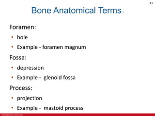 Ch06 lecture ppt_a | PPTX