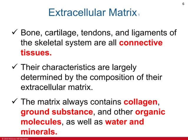 Ch06 lecture ppt_a | PPTX | Death, Injury, or Military Conflict | Sensitive Topics