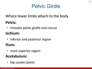 Ch06 lecture ppt_a | PPTX