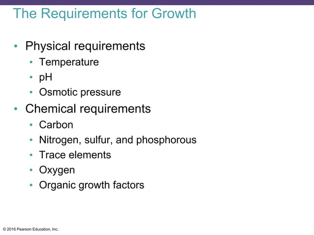 Ch 06_lecture_presentation | PPTX