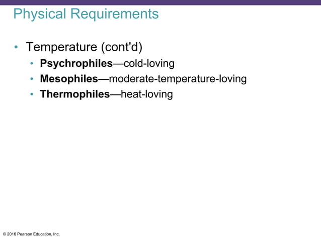 Ch 06_lecture_presentation | PPTX