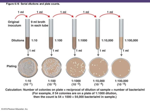 Ch 06_lecture_presentation
