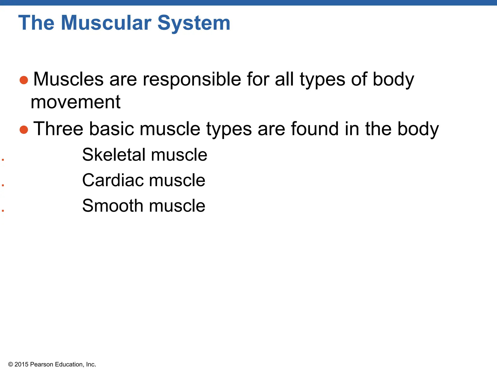 muscular system (ANATOM AND PHYSIOLOGY).pdf