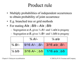 ch06notes.ppt