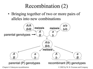 ch06notes.ppt