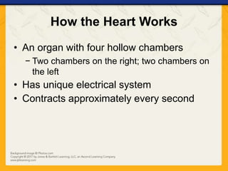 Ch06 presentation aed | PPT