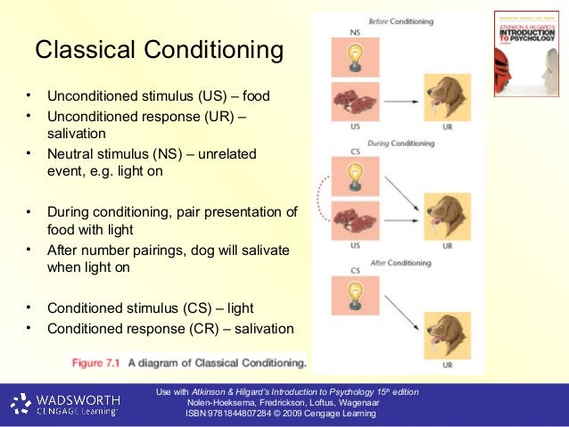 Lecture4:Nature of learning-Dr.Naif