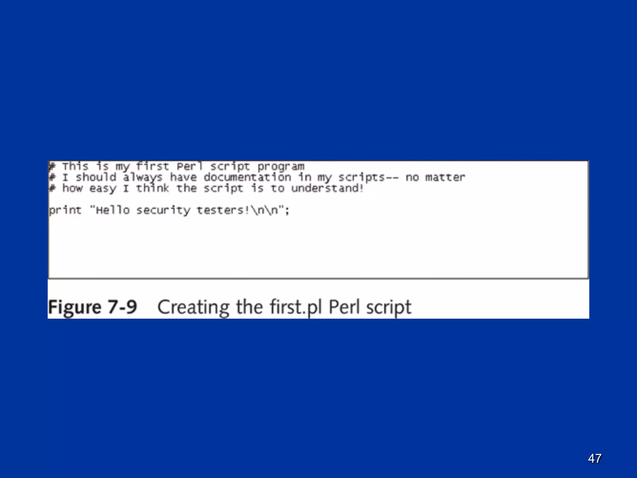Ch 7: Programming for Security Professionals | PPT