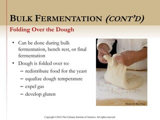 ch07: Yeast-raised Bread & rolls.pptx