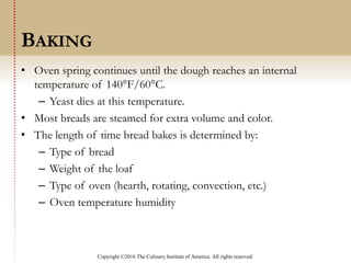 ch07: Yeast-raised Bread & rolls.pptx