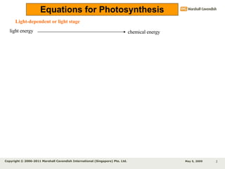 Ch07 Equations For Photosynthesis | PPT