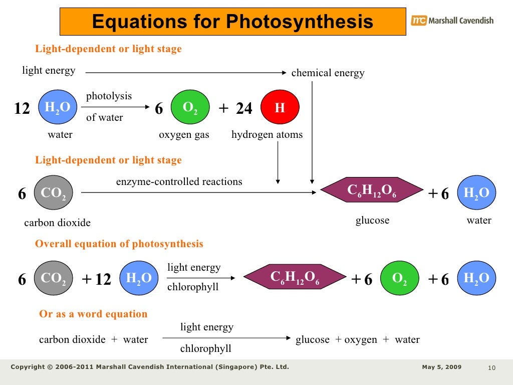 Ch07 Equations For Photosynthesis