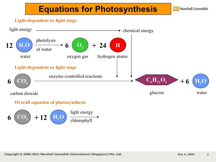 Ch07 Equations For Photosynthesis