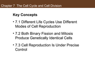 Ch07 lecture the cell cycle and cell division | PPT