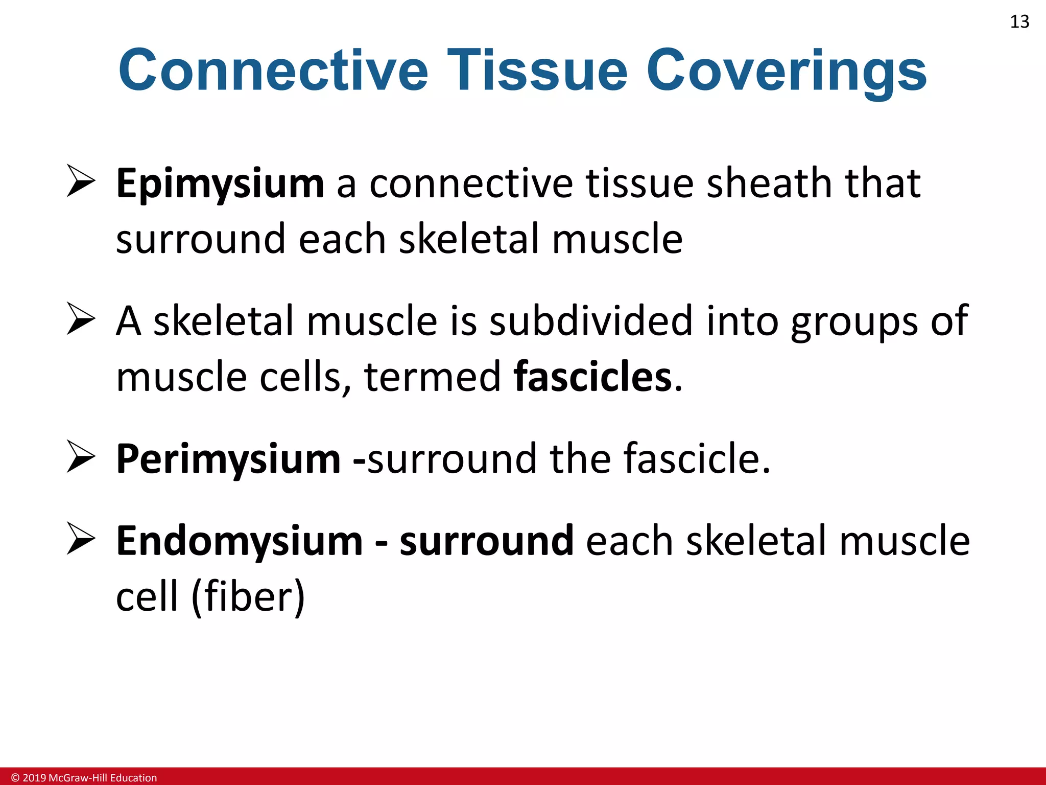 Ch07 lecture ppt_a | PPTX
