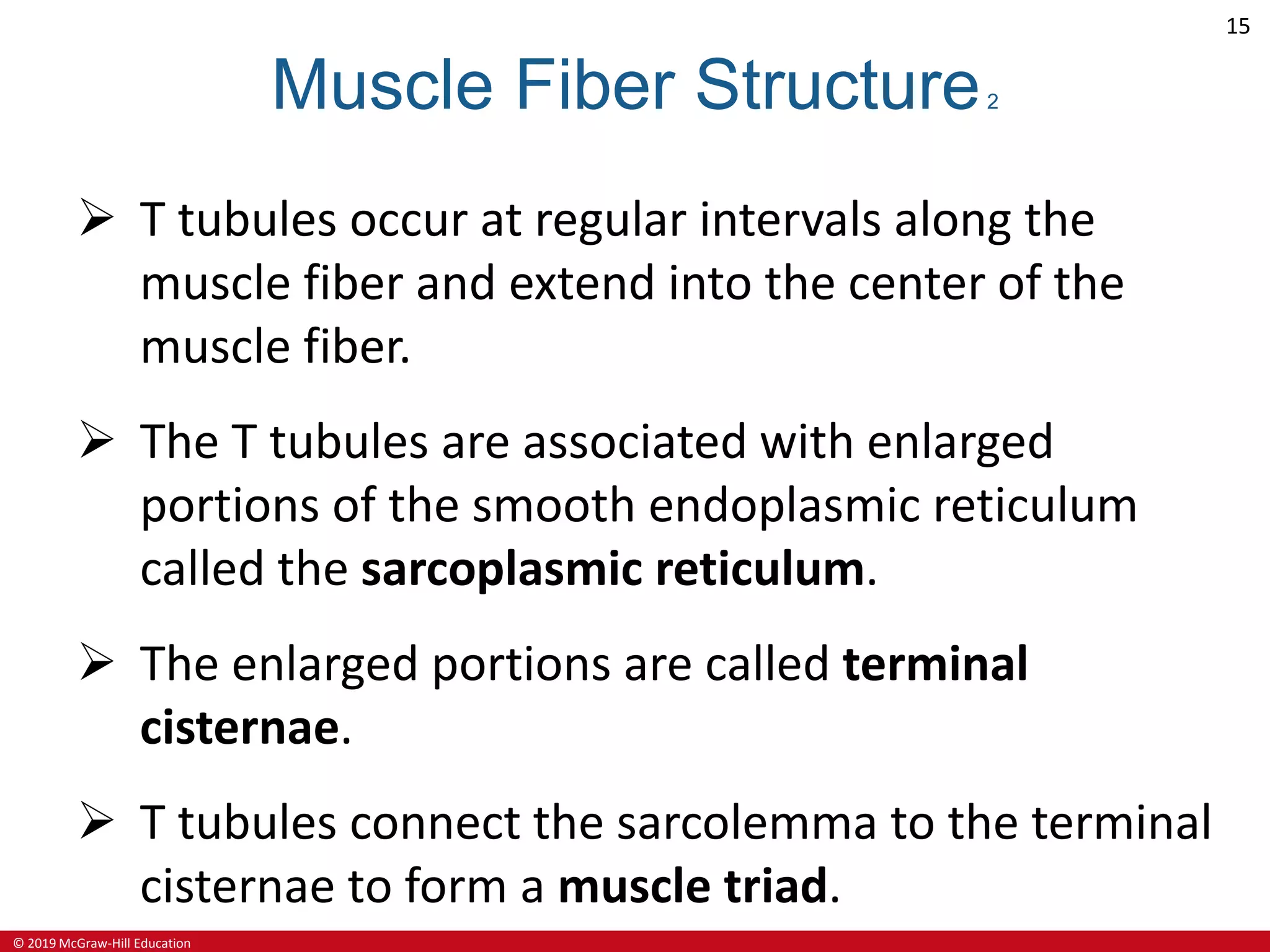 Ch07 lecture ppt_a | PPTX