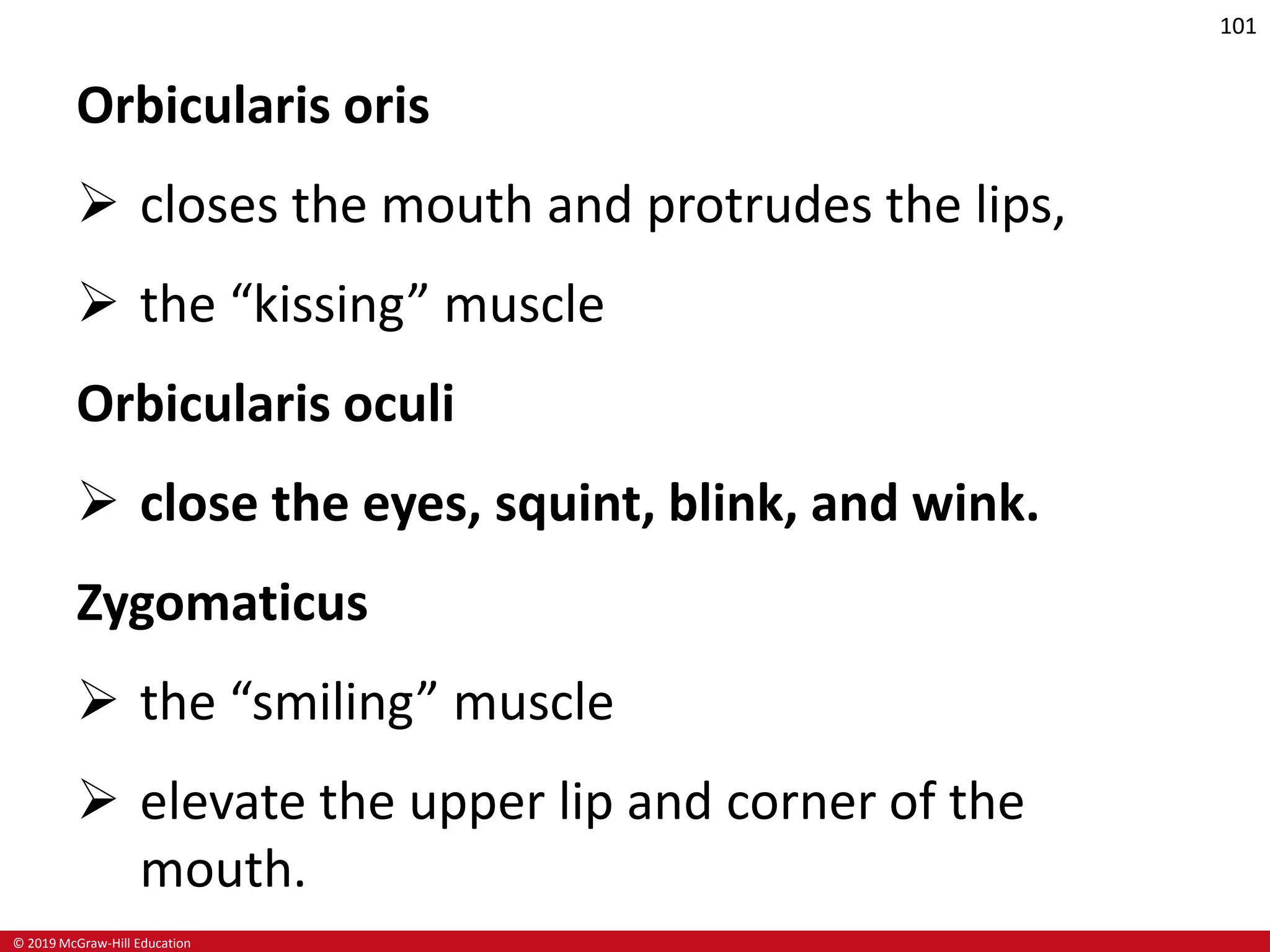 Ch07 lecture ppt_a | PPTX