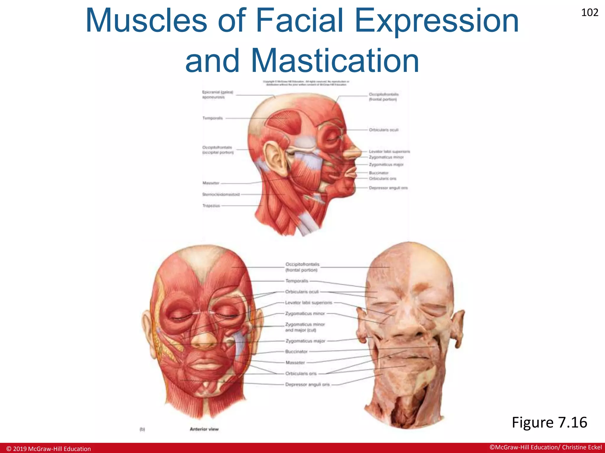 Ch07 lecture ppt_a | PPTX