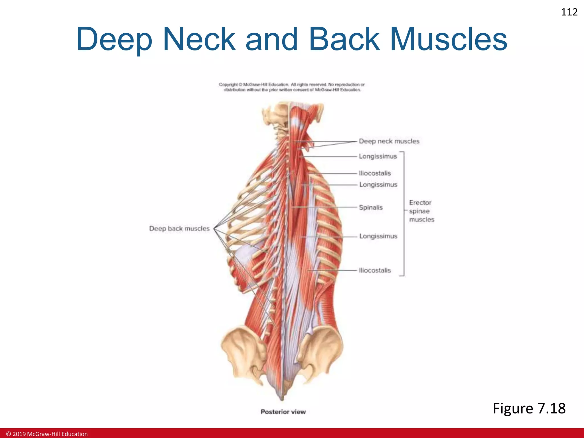 Ch07 lecture ppt_a | PPTX