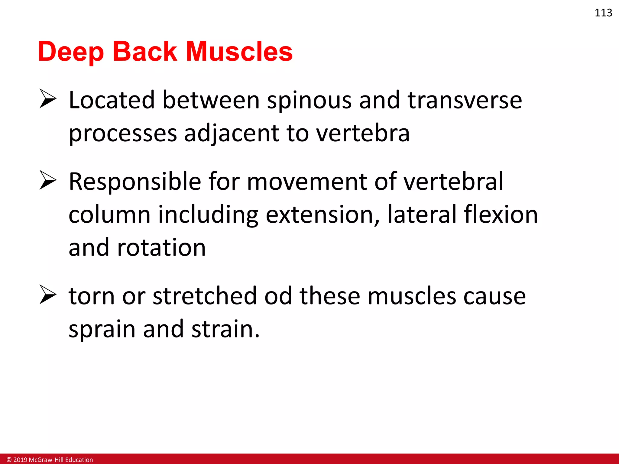 Ch07 lecture ppt_a | PPTX