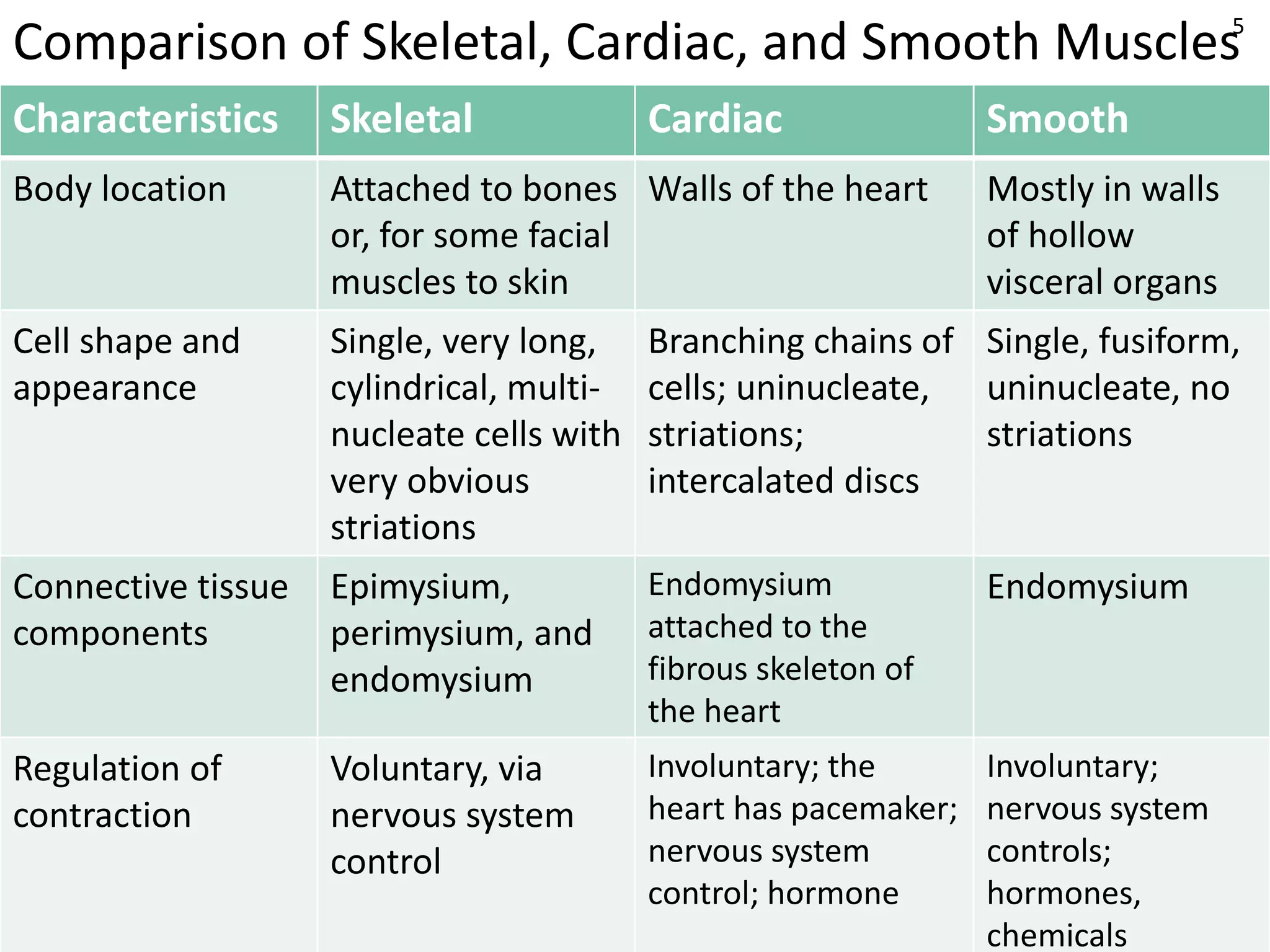 Ch07 lecture ppt_a | PPTX
