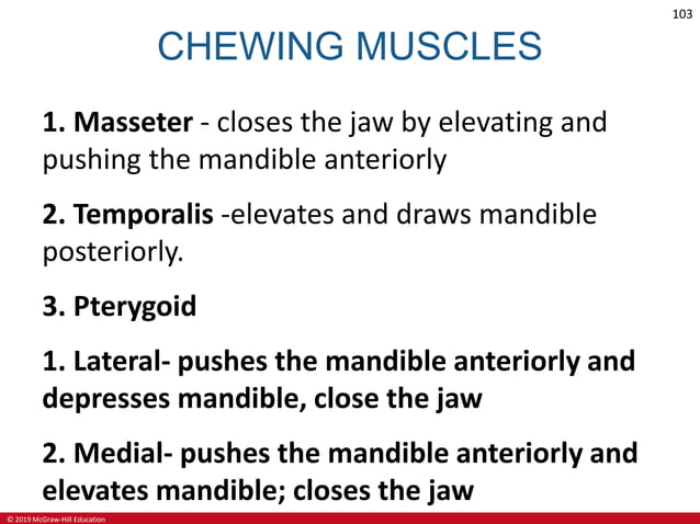 Ch07 lecture ppt_a | PPTX