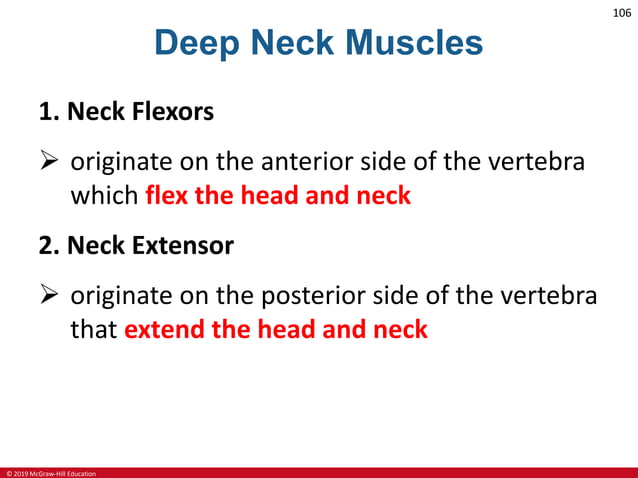 Ch07 lecture ppt_a | PPTX