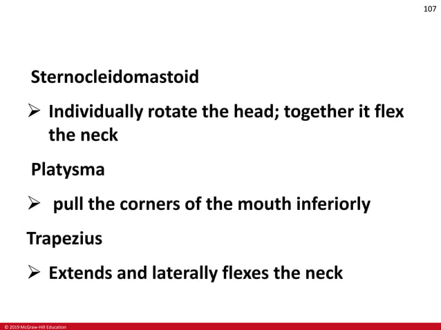 Ch07 lecture ppt_a | PPTX