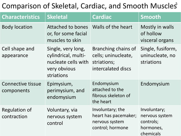 Ch07 lecture ppt_a | PPTX