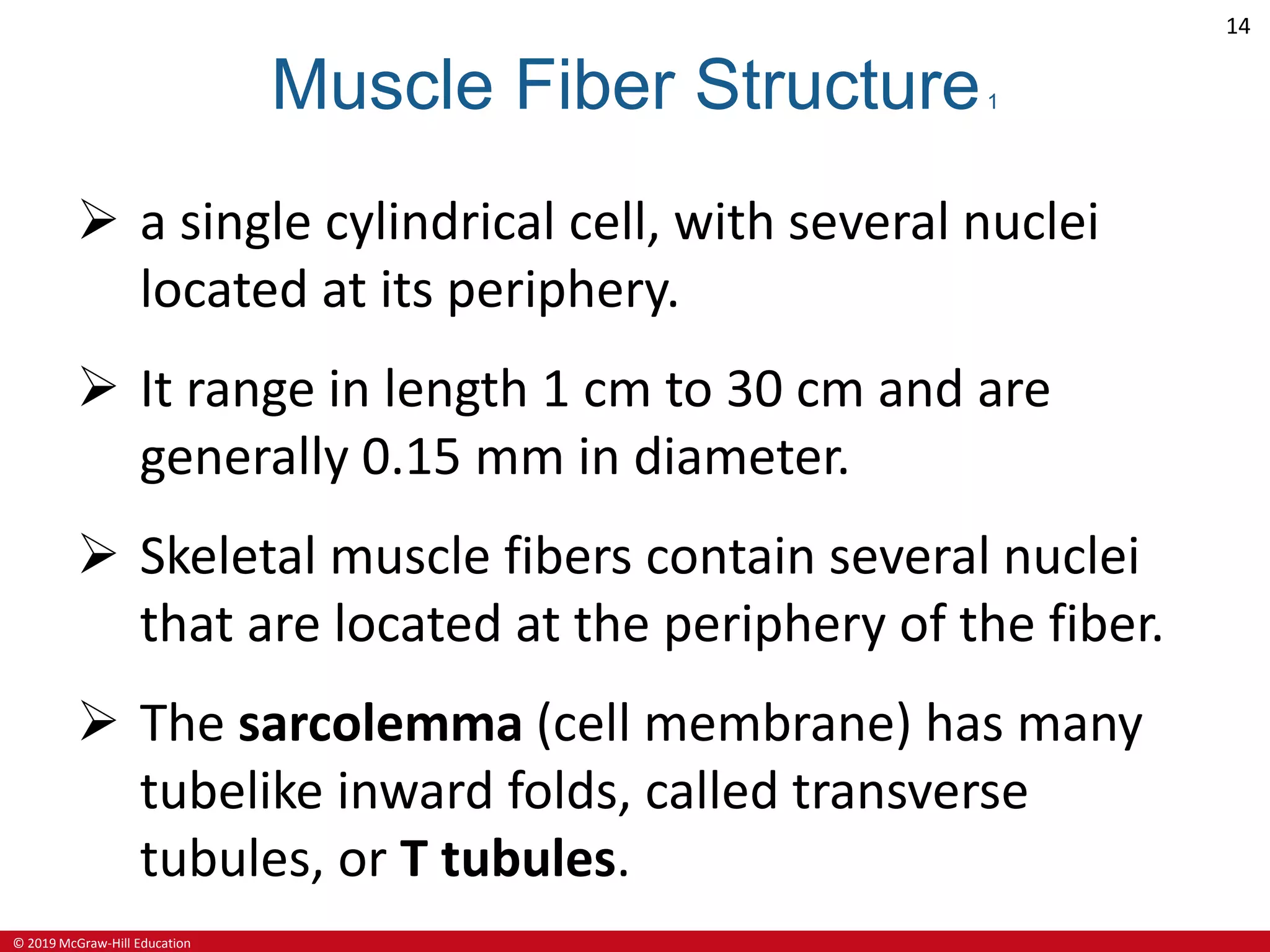 Ch07 lecture ppt_a (1) | PPTX