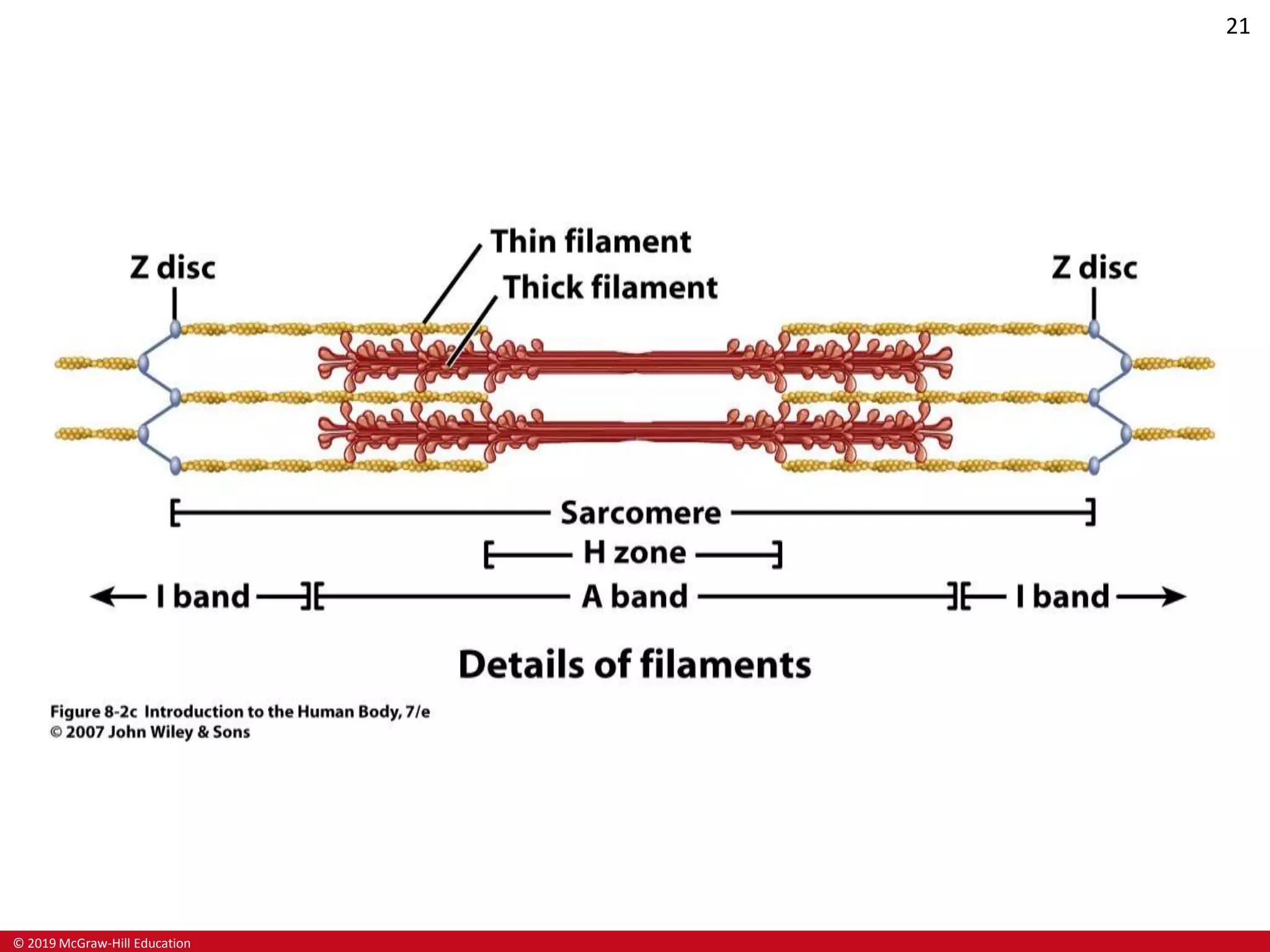 Ch07 lecture ppt_a (1) | PPTX