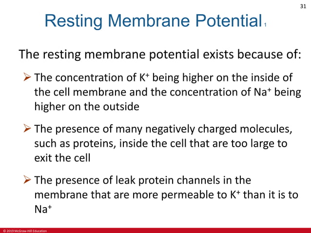 Ch07 lecture ppt_a (1) | PPTX