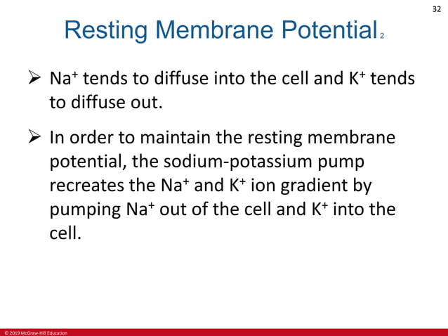 Ch07 lecture ppt_a (1) | PPTX